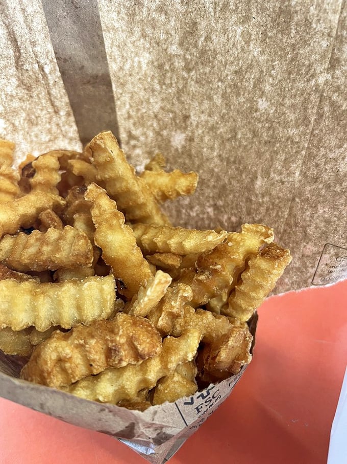 These aren't just fries; they're the crispy, golden supporting characters in your sandwich adventure story, demanding equal billing.