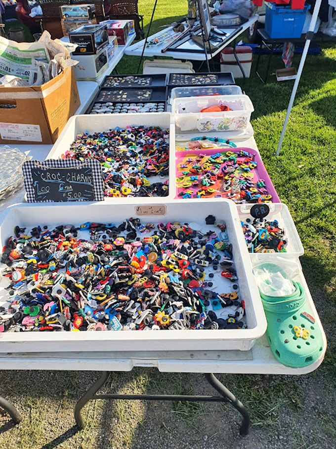 The plastic shoe accessories your inner 7-year-old is already begging to take home. Resistance is futile against this colorful chaos.