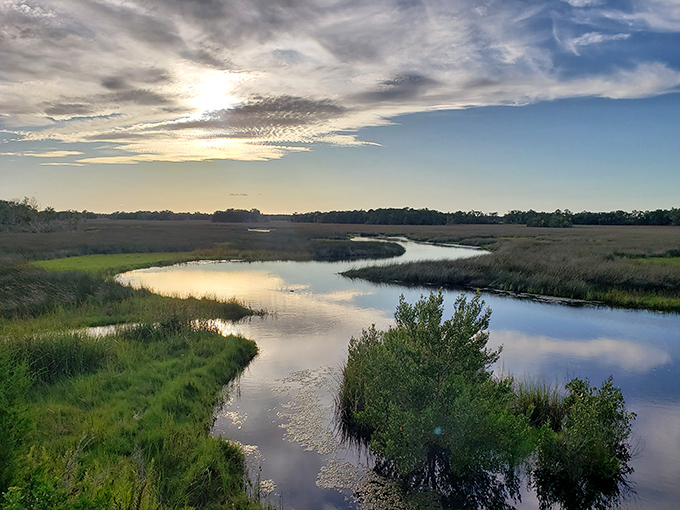 Meandering wetlands where time seems to stand still – except for the occasional ripple from a curious manatee below.