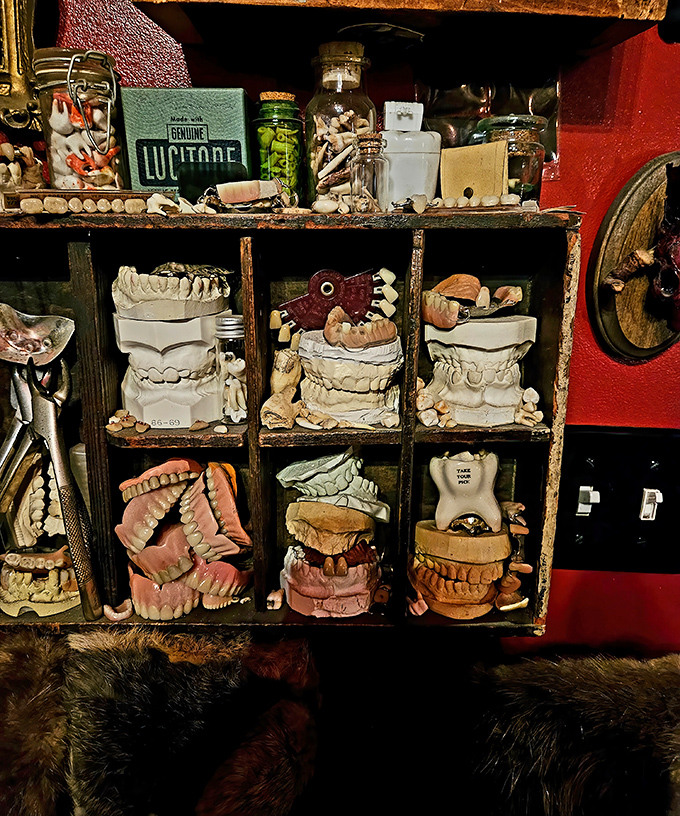 Dental nightmares come to life in this gleefully disturbing display that will have you reaching for your toothbrush and thanking modern dentistry.