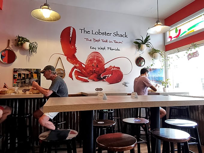 The wall art says it all—this is lobster territory. Patrons hunched over their treasures know they've found the X on Florida's culinary map.