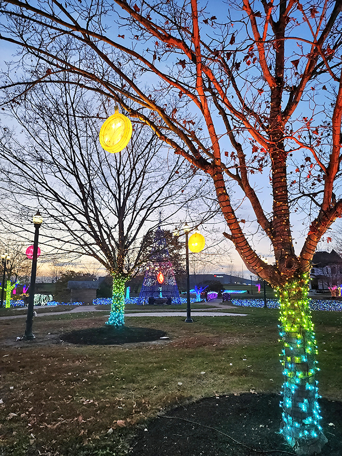 As dusk falls, the park transforms into a glowing wonderland. Even the trees dress up for the occasion!