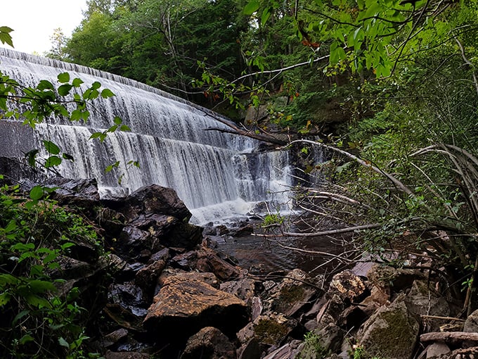 Water cascading over ancient stone—Eliza Adams Gorge reminds us that nature was creating spectacular shows long before streaming services existed.
