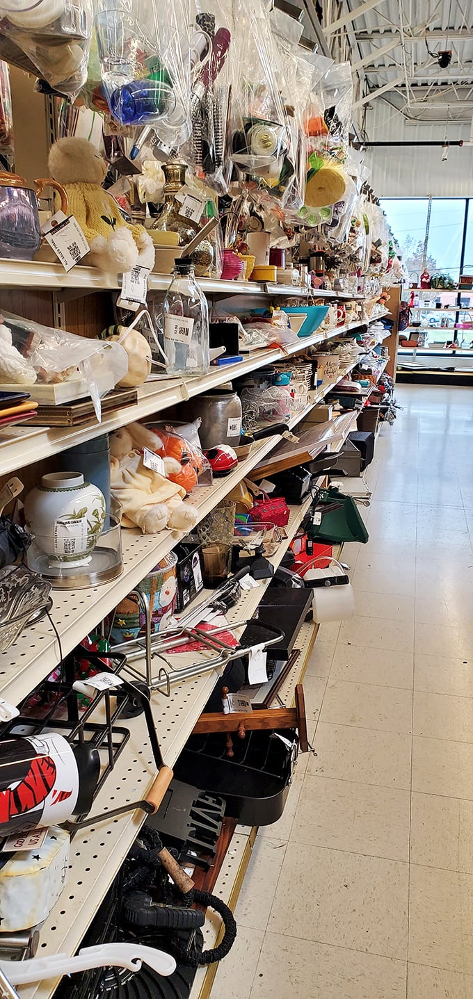 Home decor heaven – where that perfect basket, lamp, or quirky conversation piece is waiting to define your personal style.
