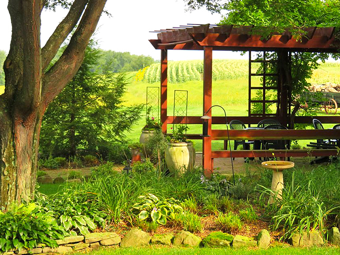 Garden pergolas: where nature and architecture have their perfect first date. This peaceful countryside retreat makes you want to sip lemonade and forget your password troubles.