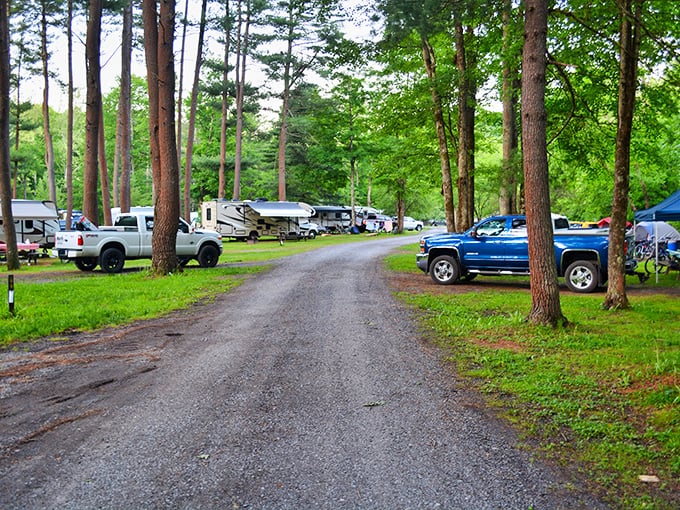 The campground road winds through towering pines, leading to temporary neighborhoods where strangers become friends over shared campfires and hiking stories.