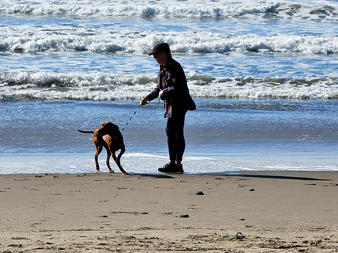 Four-legged friends find paradise too. This pup's thinking, "Sure, I'll pose for your photo, but then we're chasing seagulls."