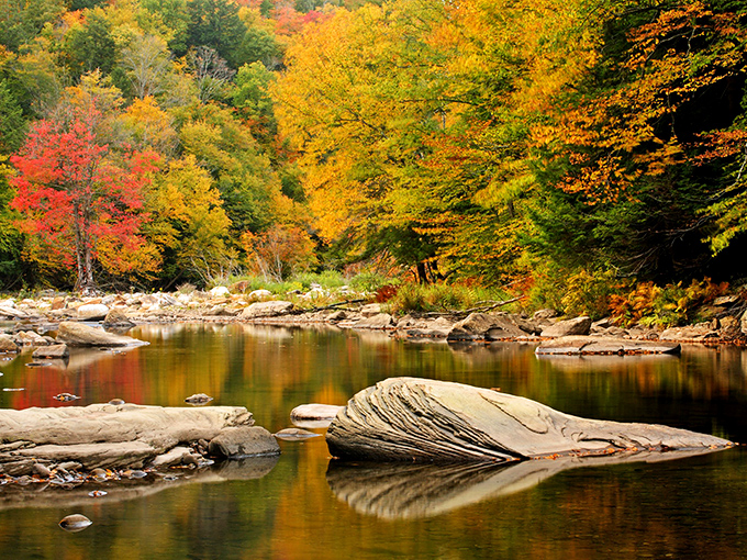 Fall foliage transforms Emporium's waterways into mirror-like reflections of nature's most spectacular color show – no filter required for this Instagram moment.