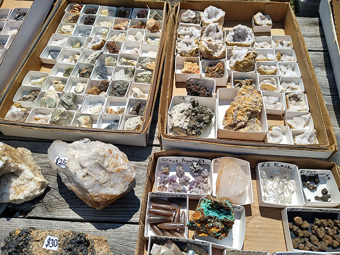 Nature's jewelry box laid bare—crystals and geodes sorted with scientific precision. Each tiny compartment holds Earth's artwork millions of years in the making.