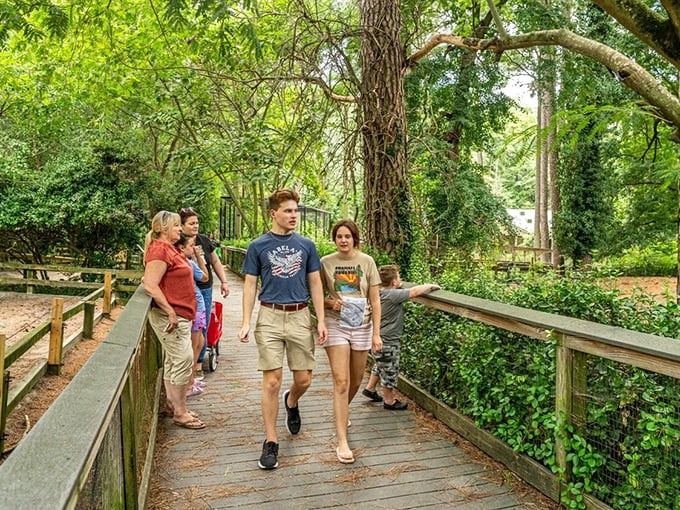 Shaded walkways at Salisbury Zoo offer free wildlife encounters—because the only thing better than seeing exotic animals is not paying exotic prices.