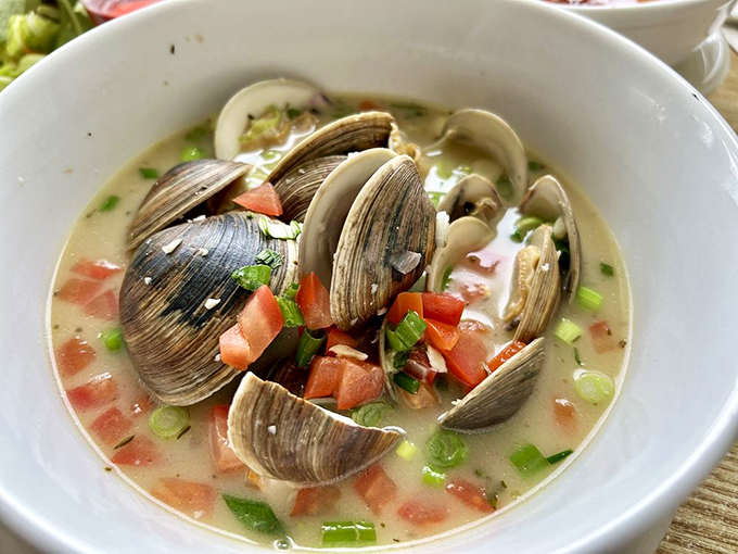These aren't just steamed clams – they're little oceanic time capsules bathing in a broth so good you'll be tempted to drink it straight from the bowl.