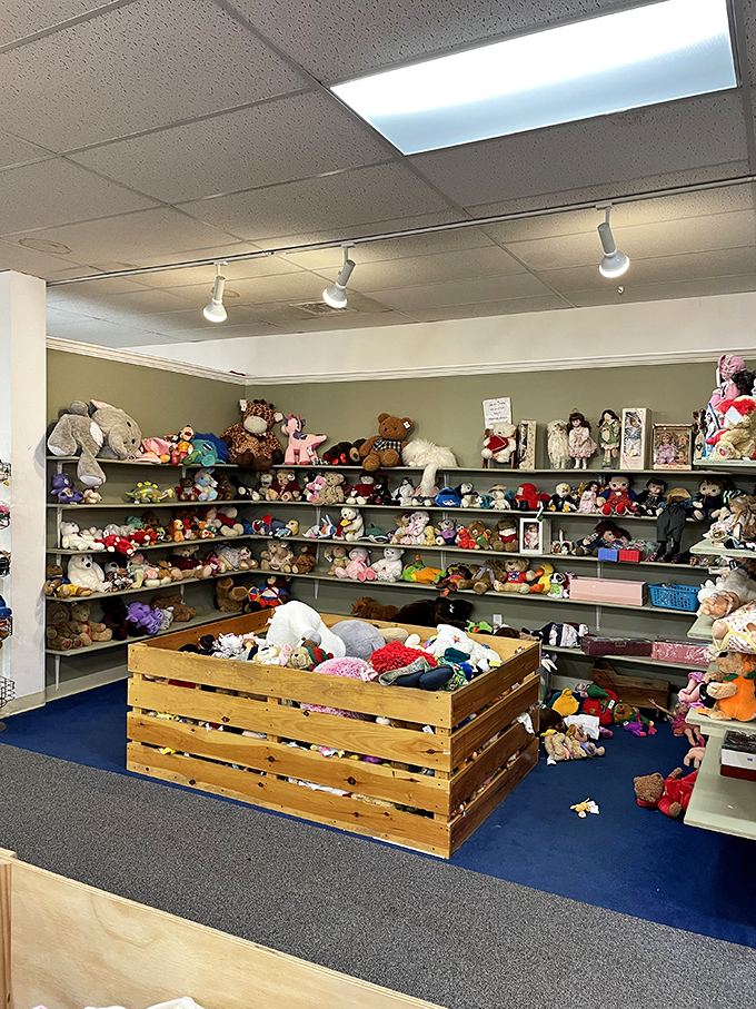 Stuffed animal heaven – where childhood companions patiently wait for their next adventure, no backstory required