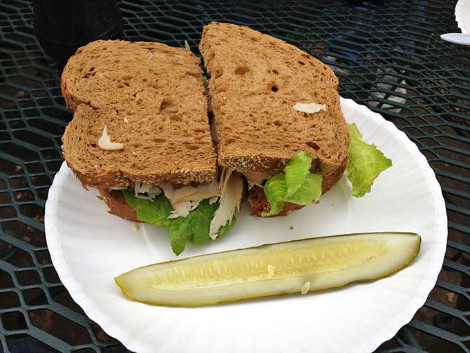 Turkey on wheat—the sensible sedan of sandwiches gets the Protzel's treatment. Even the classics deserve artisanal attention.