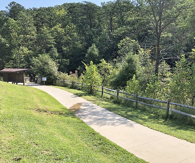 The path less traveled? Not exactly. But with views this good, you won't mind sharing the journey with fellow nature enthusiasts.