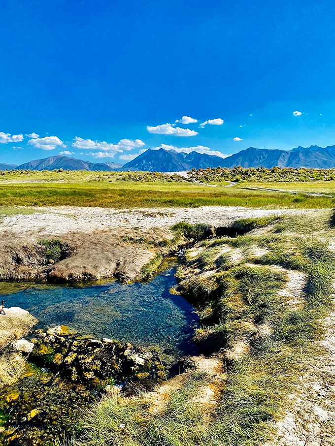 Hot springs with a view: Wild Willy's geothermal pools offer nature's own spa treatment with the Eastern Sierra providing the ultimate relaxation backdrop.