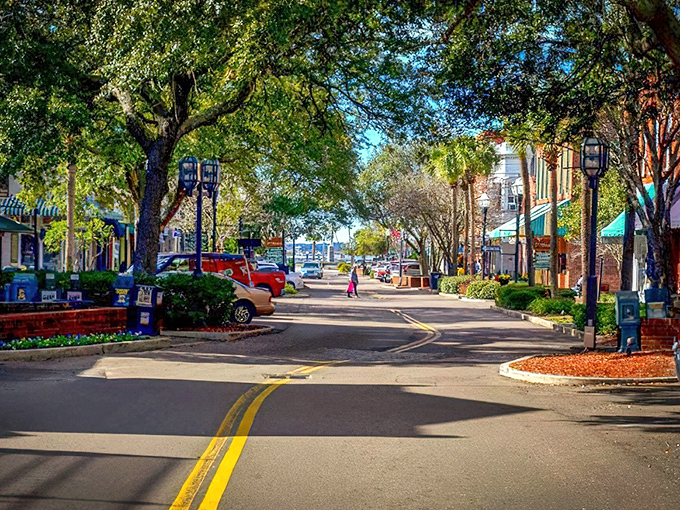 Centre Street's canopy of trees creates the perfect shopping corridor. This isn't your typical Main Street—it's a masterclass in how to preserve a downtown's soul.
