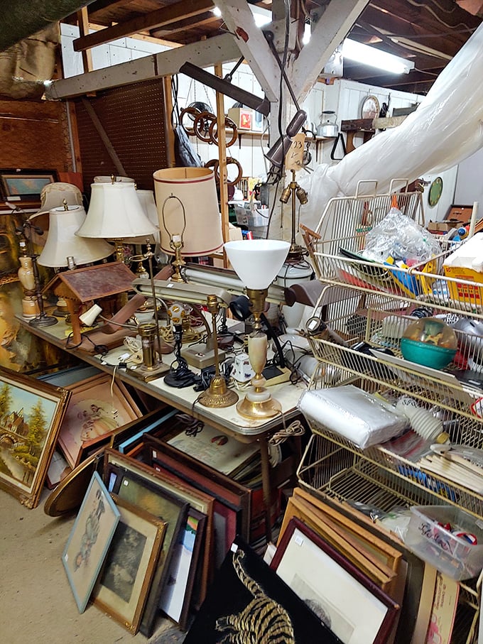The lamp section – where you'll find everything from "perfect vintage accent" to "definitely haunted but I'm buying it anyway."
