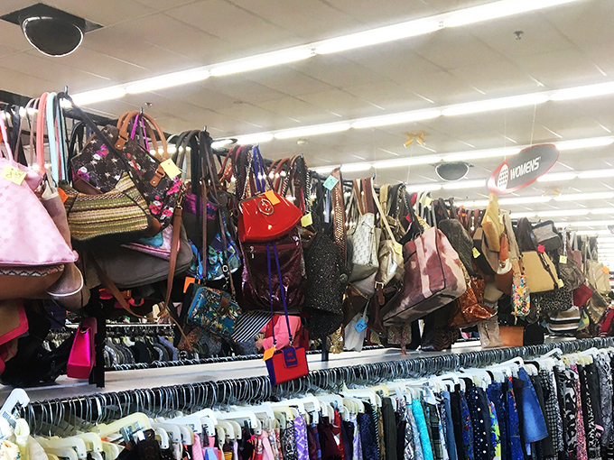Handbag heaven hanging overhead like fashionable fruit. Designer labels hide among everyday brands—can you spot the diamond in the rough?