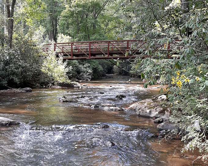 This rustic red bridge isn't just crossing water – it's connecting you to a Tennessee most tourists never see. No filter needed.