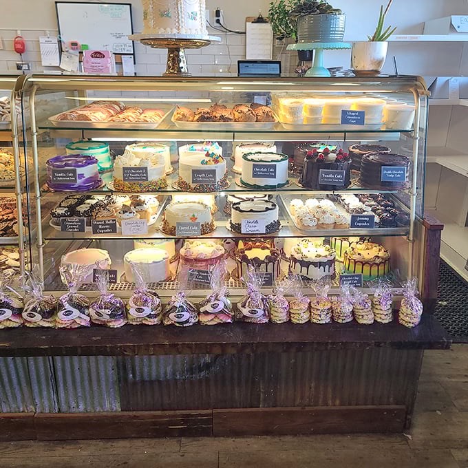 The display case: where dreams are stacked in layers of buttercream and ganache. Diet plans come here to die glorious deaths. 