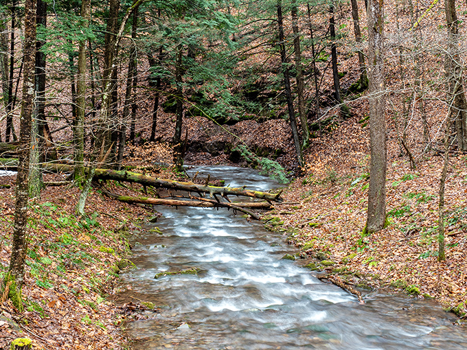 This babbling brook doesn't just babble—it delivers TED talks on the art of perpetual motion and perfect tranquility.