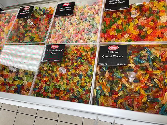 The gummy motherlode – bears, worms, and other shapes in a kaleidoscope of colors that would make a rainbow feel inadequate.