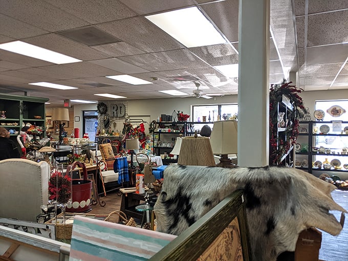 The home goods section could furnish an entire episode of a decorating show—"Thrift Store Makeovers" should be a thing.