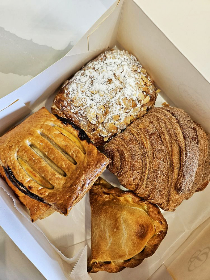 Pastry box heaven—where flaky, golden-brown treasures nestle together like delicious puzzle pieces waiting to be devoured one by one.