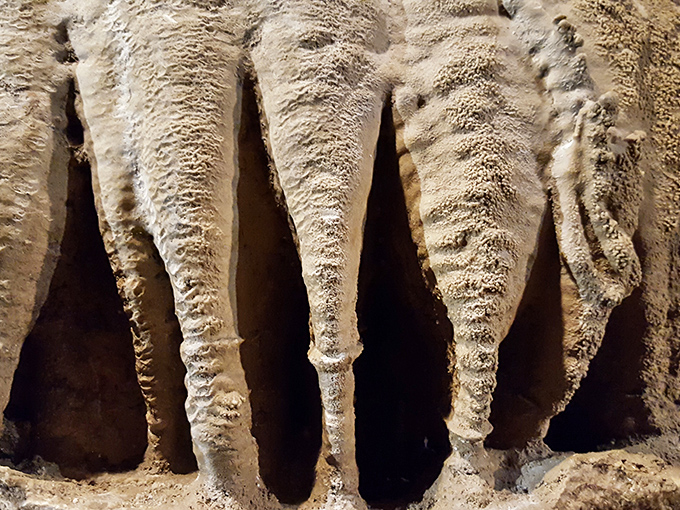 These limestone icicles have been working on their dramatic entrance for millennia—talk about commitment to the bit!