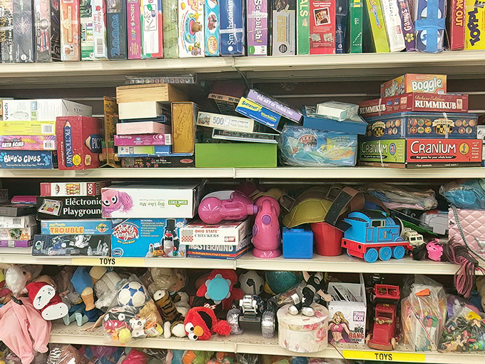 Board games and stuffed animals wait patiently for their next adventure—childhood joy doesn't come with an expiration date.