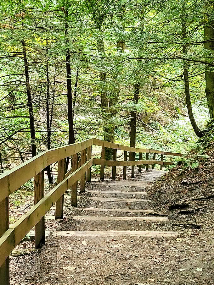 These wooden steps descending into the forest feel like the entrance to a fairy tale—just with better cell reception and fewer wicked witches.