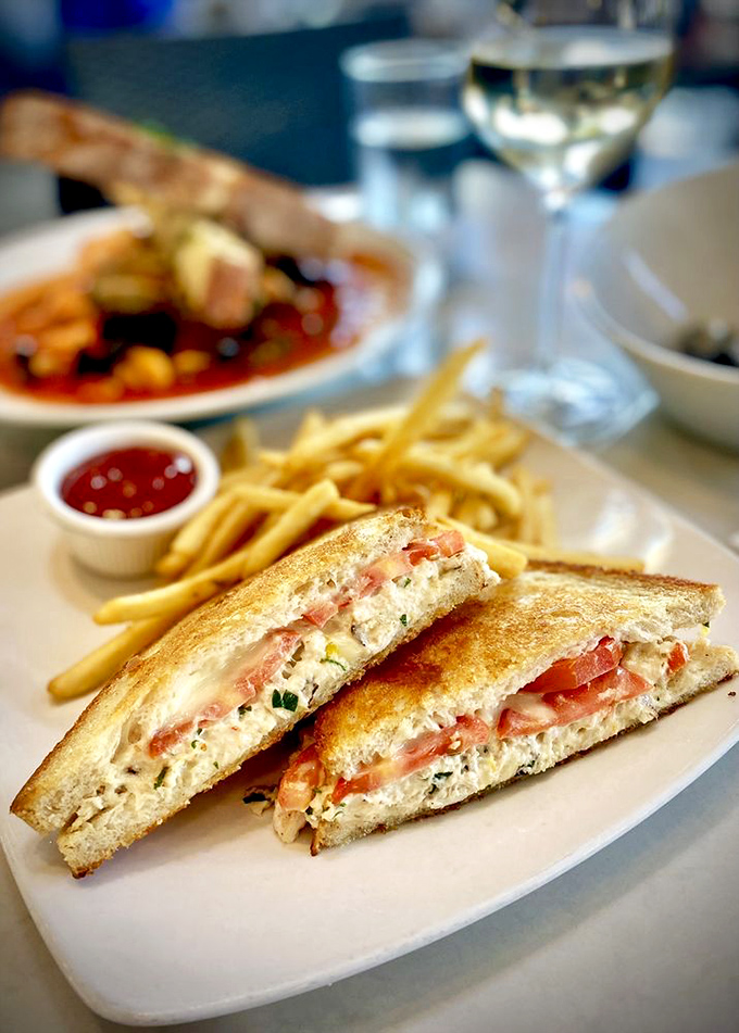 This tuna melt has clearly graduated from sandwich school with honors—crispy, gooey, and ready for its close-up.