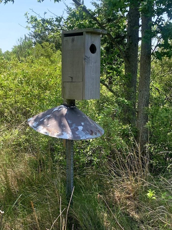 Even the birds get waterfront property at Franklin Point, where this charming wood duck box offers prime real estate.