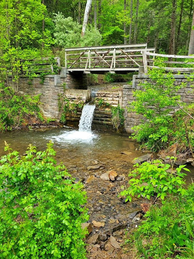 This charming waterfall bridge offers the perfect backdrop for those "I can't believe this is just an hour from home" moments.
