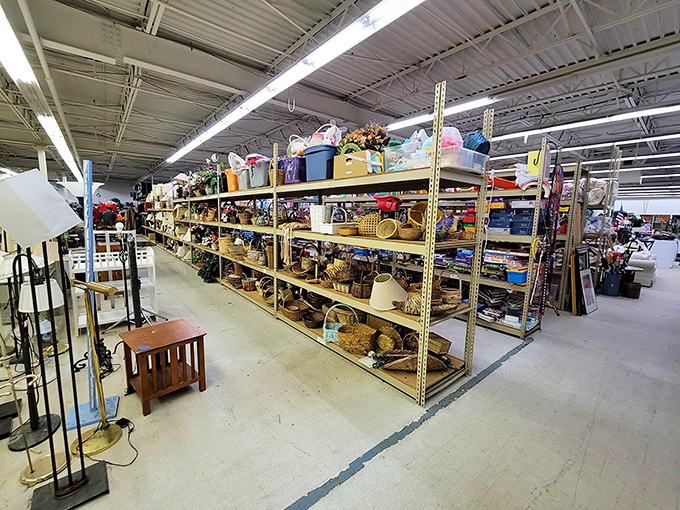 Towering shelves packed with household treasures—like an archaeological dig where every level reveals artifacts from modern American life.