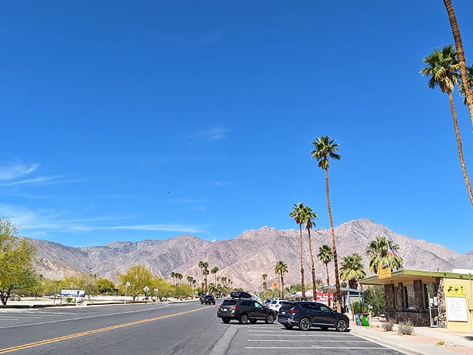 Palm trees stand like exclamation points against Borrego Springs' dramatic mountain backdrop. Desert living without desert prices!