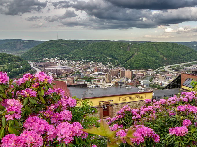 Johnstown's stunning valley view, framed by pink rhododendrons, offers million-dollar scenery at a fraction of big-city costs.
