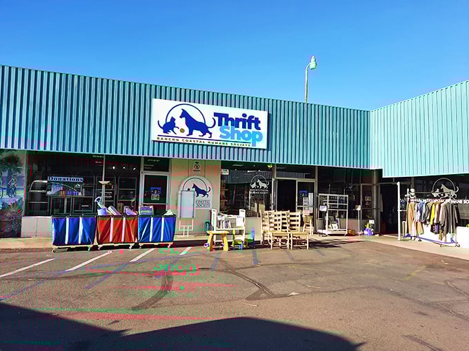 The Thrift Stop's turquoise facade stands out like a retro postcard come to life. Cardiff's coastal gem offers waves of bargains just steps from the real surf!