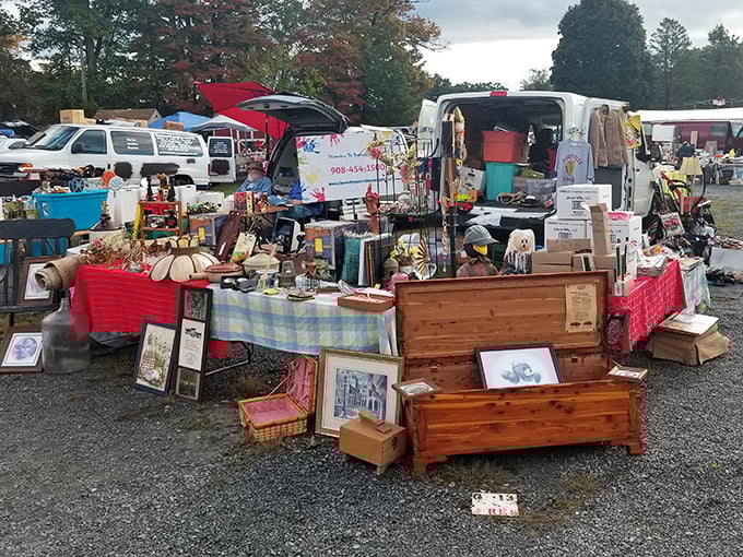 Tent city of treasures! Blue Ridge vendors create a colorful patchwork against the mountain backdrop that's as beautiful as it is tempting.