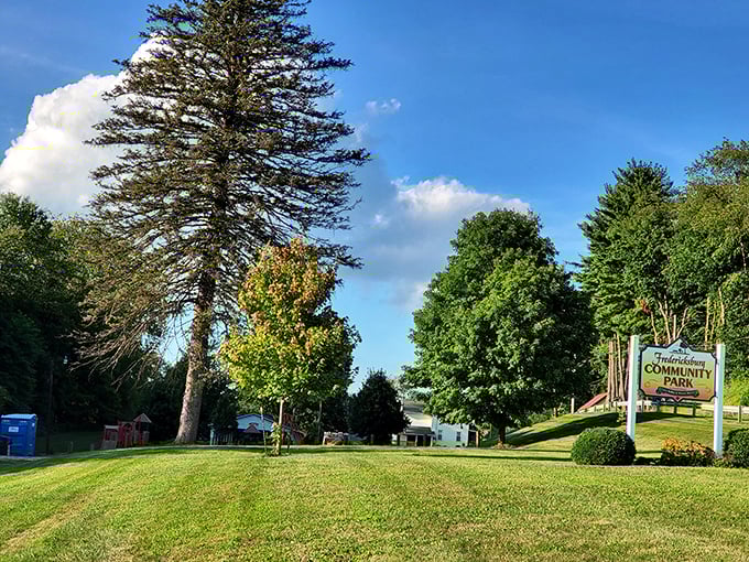 Fredericksburg Community Park—where "amenities" means trees, grass, and the radical notion of actual face-to-face conversation.