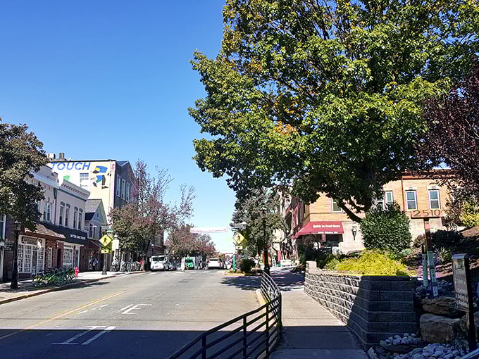The aerial view of Metuchen shows why they call it "The Brainy Borough"—smart seniors choose its blend of charm and affordability.