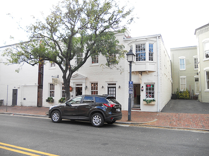 Cobblestone streets and classic architecture—Twig Thrift Shop offers Alexandria's most picturesque bargain hunting backdrop.