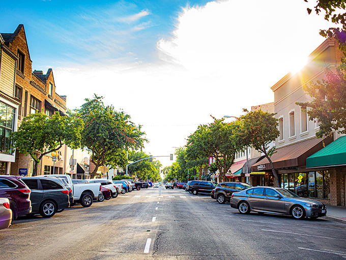 Classic Americana meets California sunshine in this perfectly sized Central Valley community.
