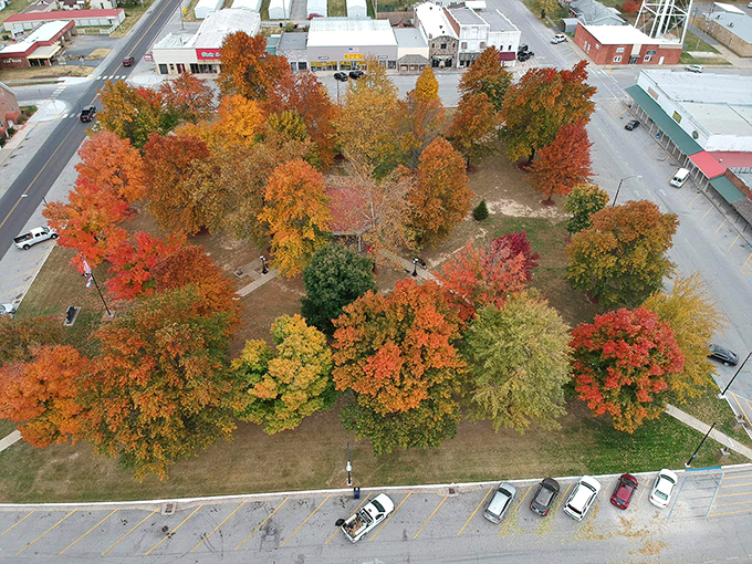 Fall paints Seymour's town square with a palette that would make Bob Ross weep with joy – nature's fireworks display before winter's quiet approach.