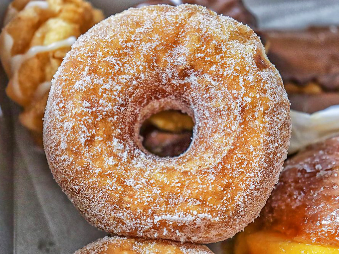 The display case offers a museum-worthy collection of donuts—each shelf a different exhibit of fried dough possibilities.