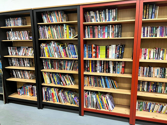 Bookworms, rejoice! These shelves hold literary journeys at bargain prices—no subscription required, just curiosity and a few dollars.