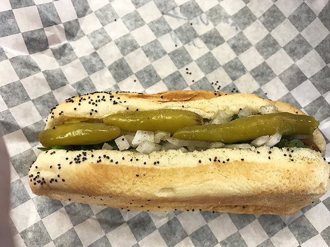 A Chicago dog in its natural habitat—poppy seed bun, vibrant toppings, and not a drop of ketchup in sight. As it should be.
