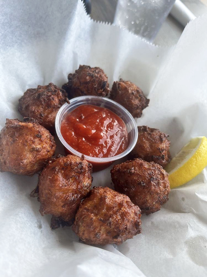 Conch fritters circled like a delicious clock, counting down the moments until you'll inevitably order another batch.