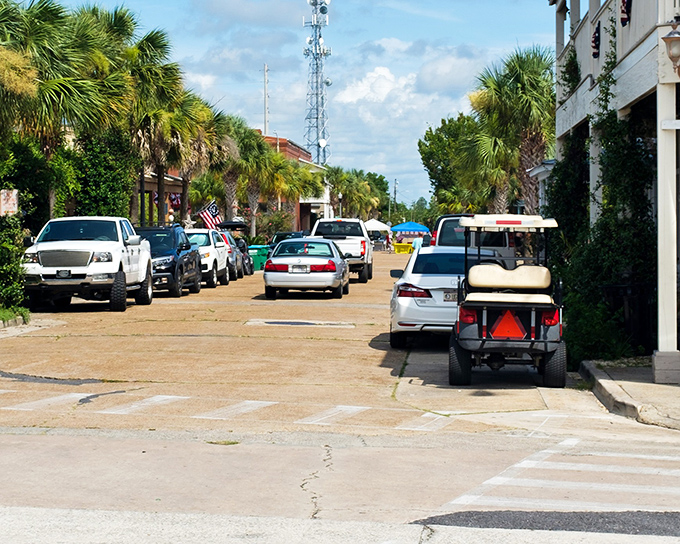 Palm trees and historic brick buildings create that distinctly Southern tableau that makes Apalachicola feel worlds away from Florida's tourist corridors.