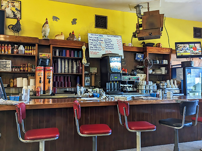 The counter—where solo diners find community and the chicken collection watches over breakfast proceedings with poultry approval.